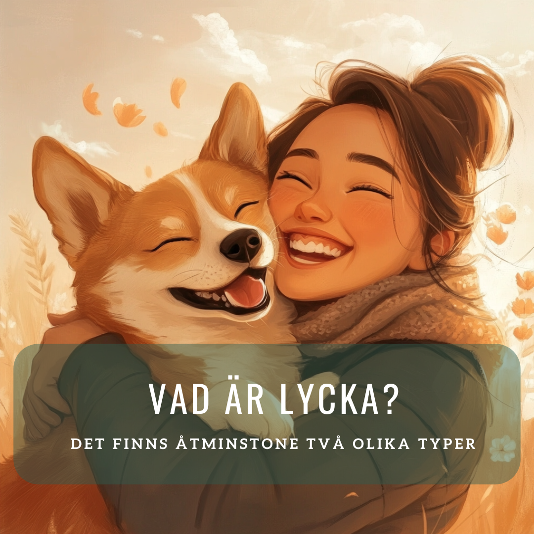 Vad är lycka? Forskning | Filosofi | Praktik - Allt du behöver veta!